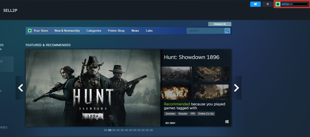 Hướng dẫn cách sử dụng Steam wallet code - Divine News